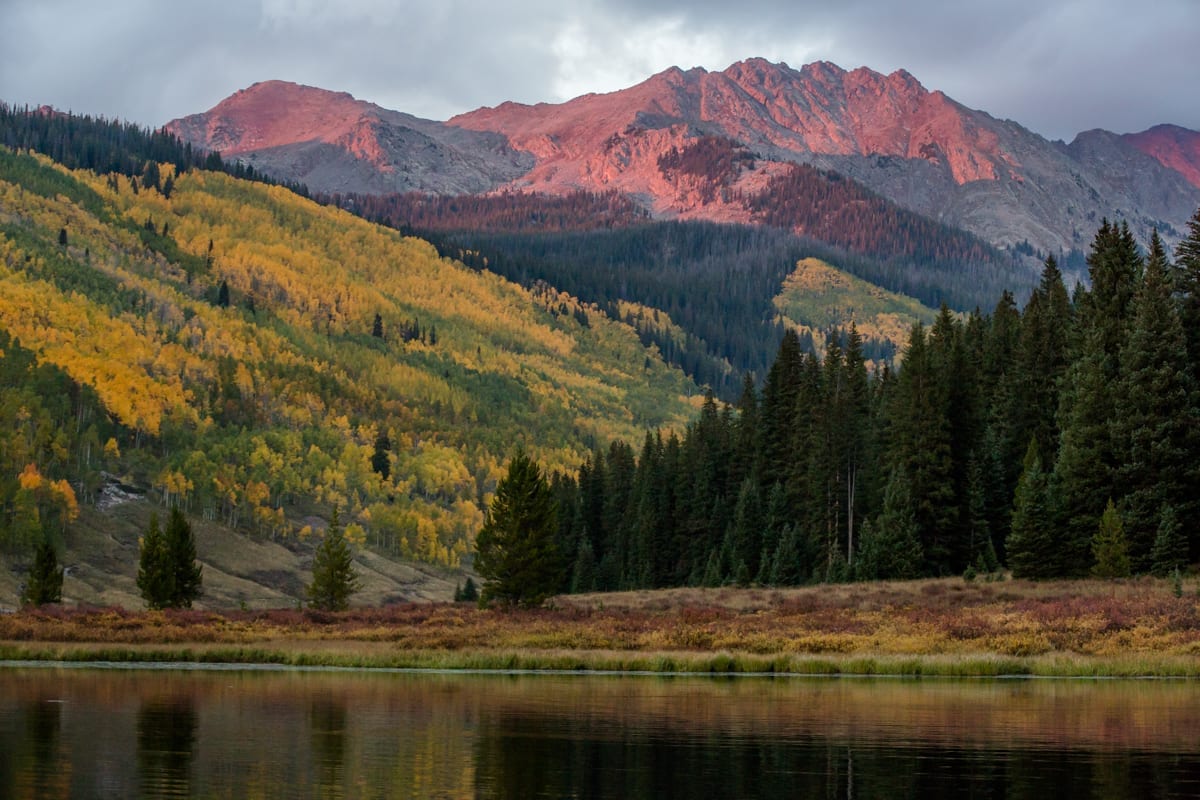 Wildlife at Piney River Ranch Colorado | Piney River Ranch
