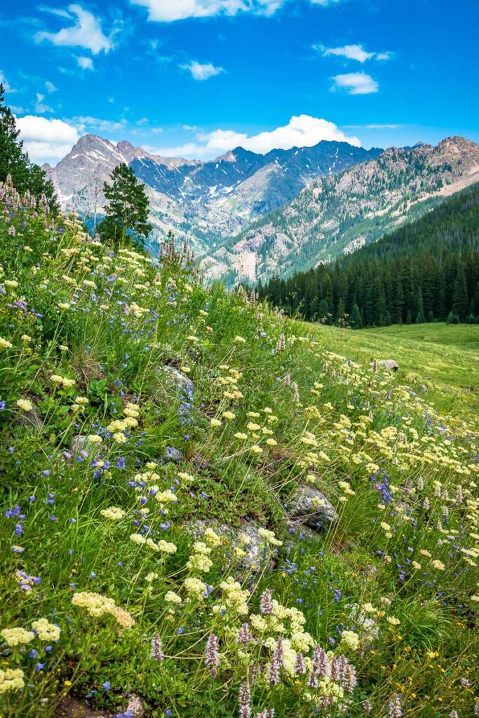 Piney River Ranch | Piney Lake Colorado | Piney River Ranch